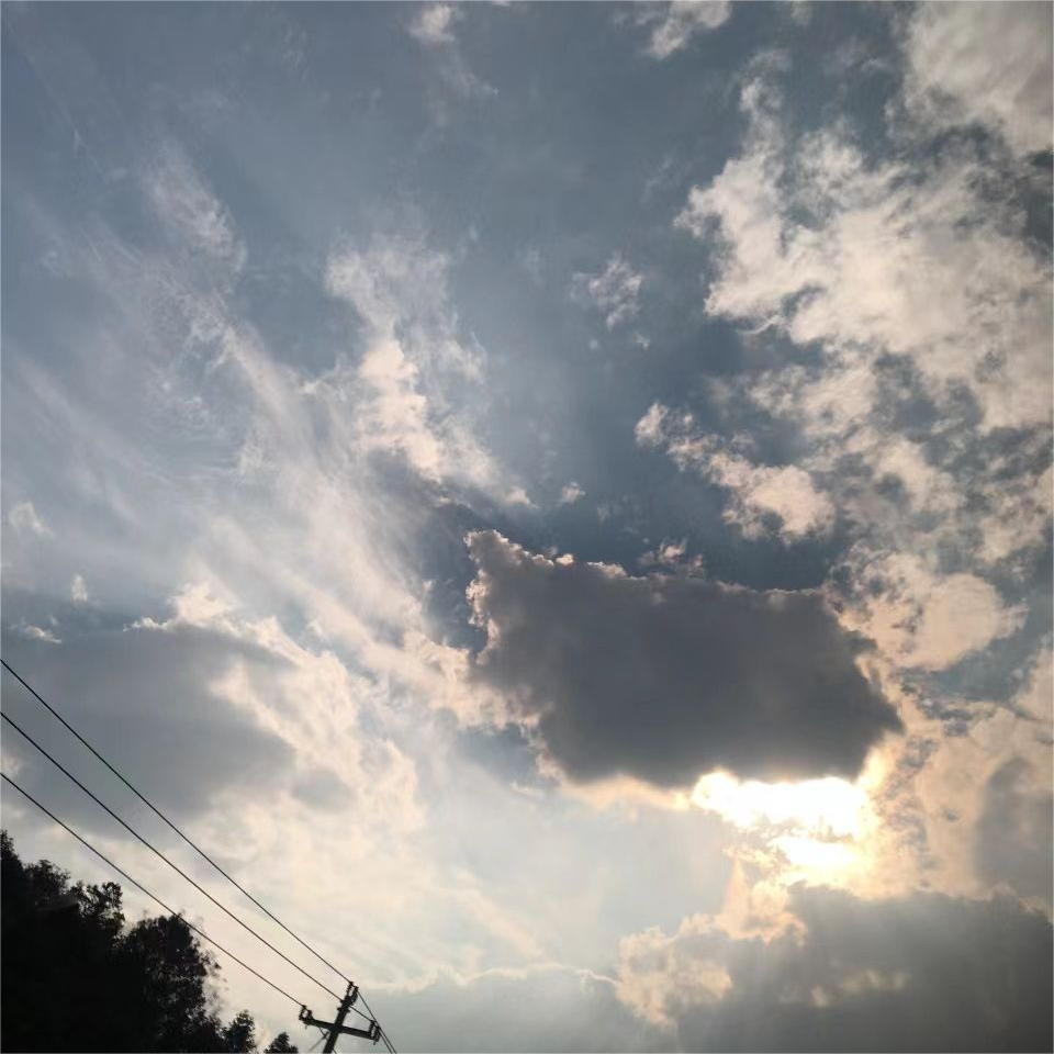 Oringes' Github Dev Blog